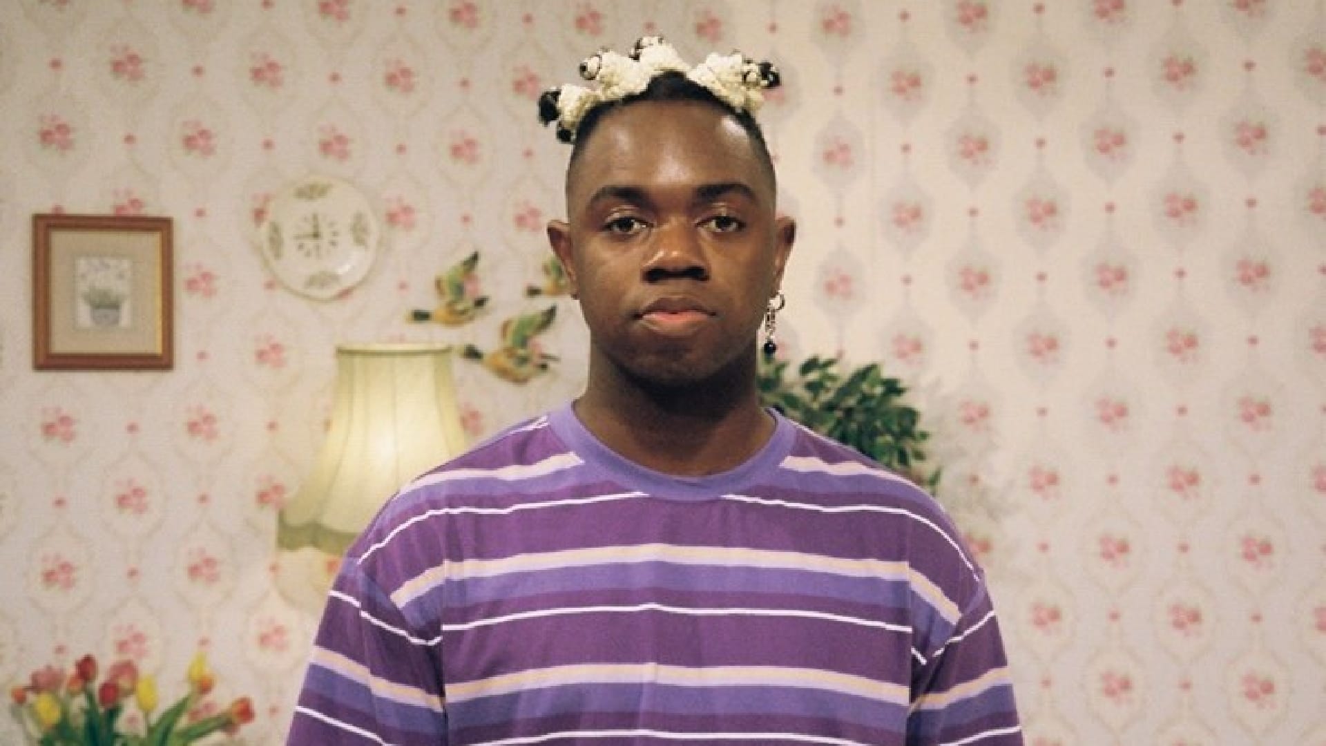 Cistin - First Fortnight